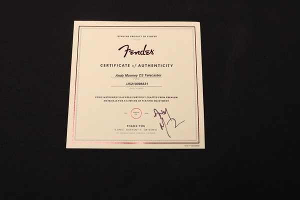 Fender Custom Shop World Stamp Collection Telecaster Electric Guitar ...