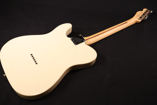 Fender Custom Shop World Stamp Collection Telecaster Electric Guitar ...