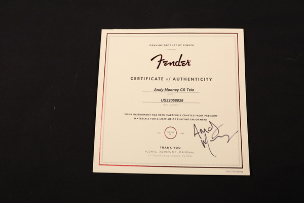 Fender Custom Shop World Stamp Collection Telecaster Electric Guitar ...