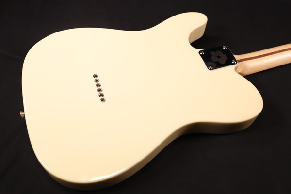Fender Custom Shop World Stamp Collection Telecaster Electric Guitar ...
