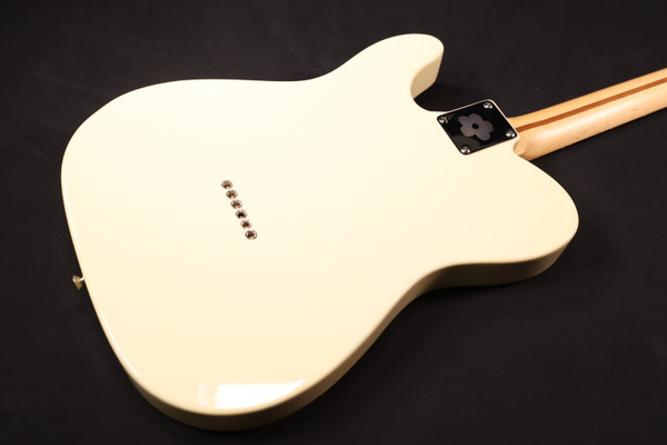 Fender Custom Shop World Stamp Collection Telecaster Electric Guitar ...