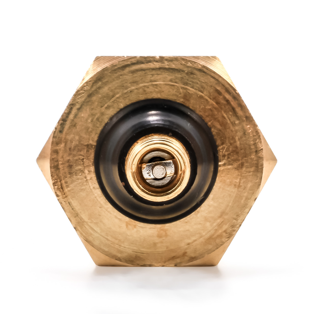 Blow Out Plug with Schrader Valve - Brass (Eng/Fr) 36153 - Camco Dealer