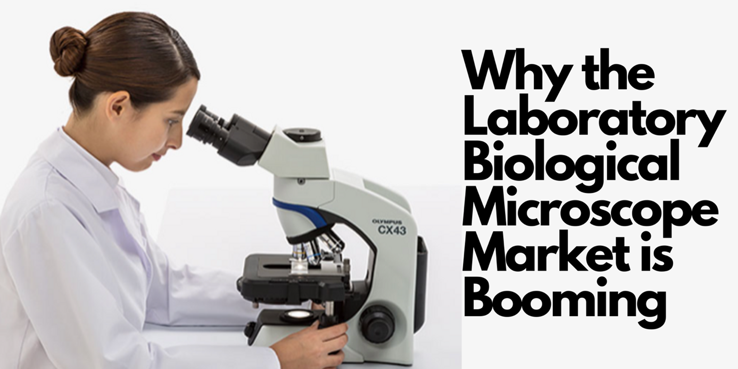 Why the Laboratory Biological Microscope Market is Booming - Steede Medical