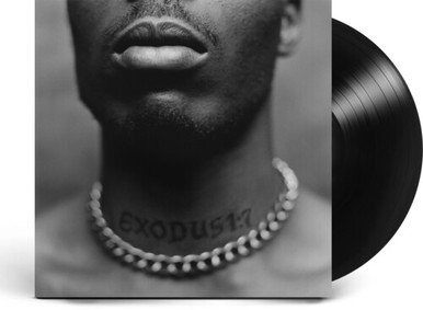 DMX – Exodus (Vinyl, LP, Album) - Midland Records