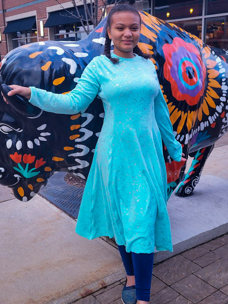 Quebec's Princess Panel Top and Dress Sizes XXS to 3X Adults PDF Pattern