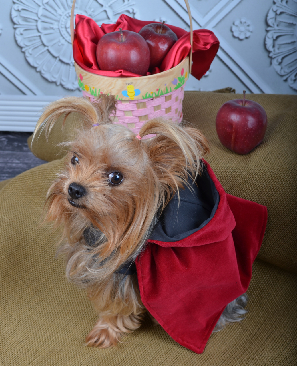 Cameron's Cape Set for Dogs PDF Pattern