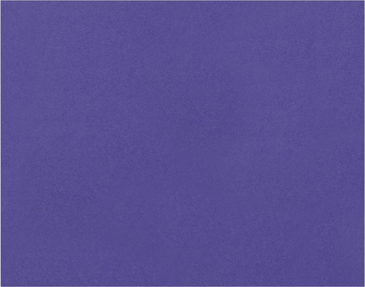 Poster Board-4 Ply 22