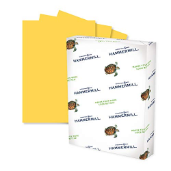 Paper Letter-Goldenrod 20#