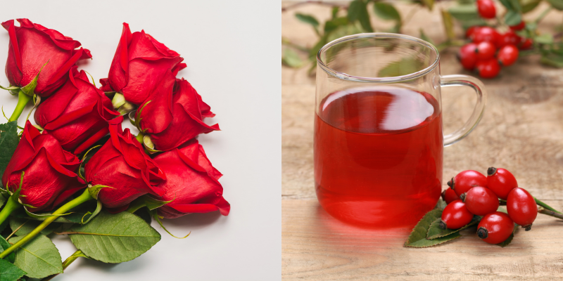 Roses vs Rosehips: What is the difference? - Herban Herbalist