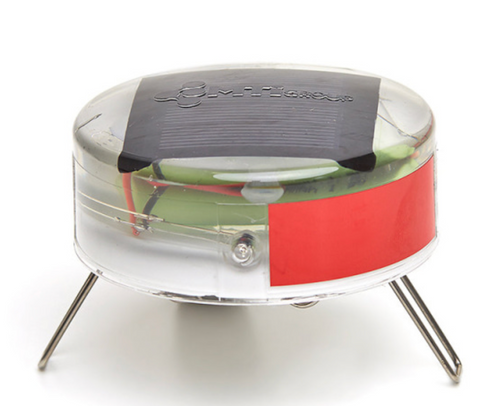 HD Solar Flashing Lights (box of 8, 4 colors available) - Ideal Supply ...