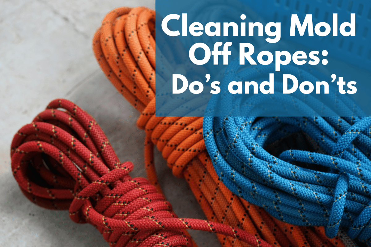 Cleaning Mold Off Ropes: Do’s and Don’ts - Right Rope