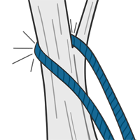 TreeBLITZ Arborist Rigging Rope