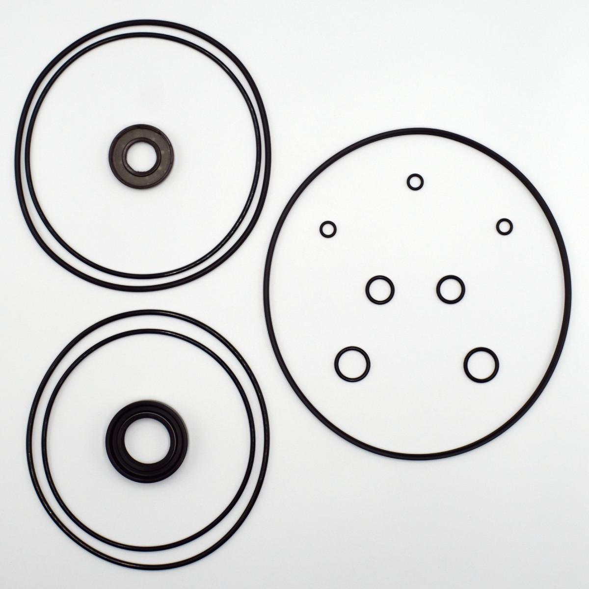 CASE 420CT Drive Motor Seal Kit - Motor Side