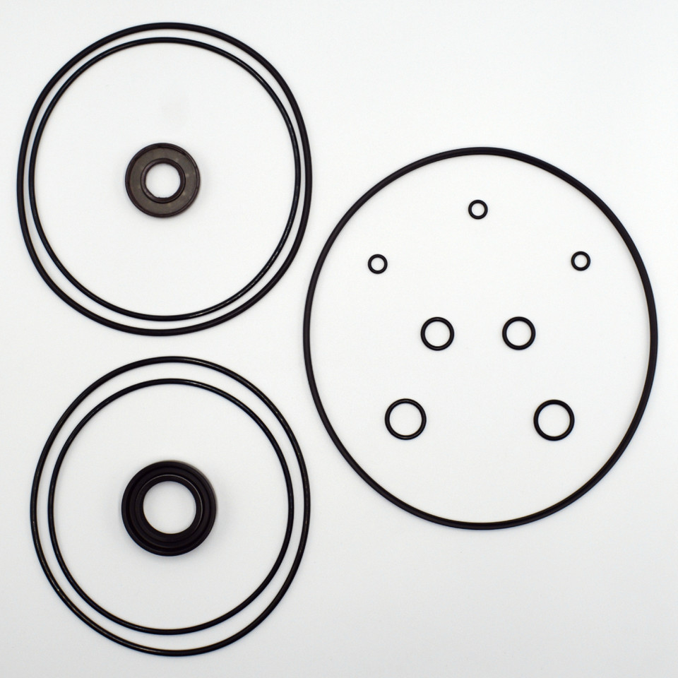 CASE TR270B Drive Motor Seal Kit - Motor Side