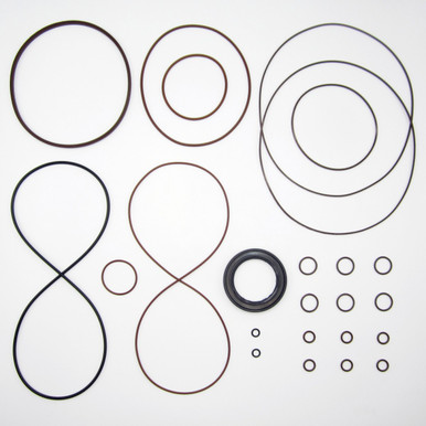 Final Drive Seal Kit for CASE 440CT Track Loader Hydraulic Motor