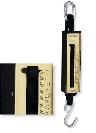 IC-300,Iron Clad Series, Straight Scale - AMETEK UK