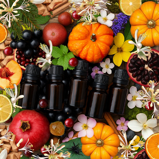 Fall Reverie Fragrance Oil Sample Kit | 5 Exciting Fragrances | Clean ...