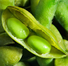 Soya Bean Carrier Oil RBD | High Lecithin & Vitamin E