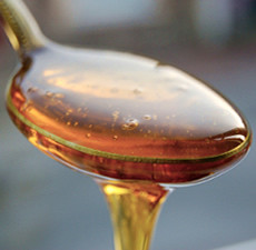 Maple Sugar Fragrance Oil | Sweet & Buttery Aromatherapy