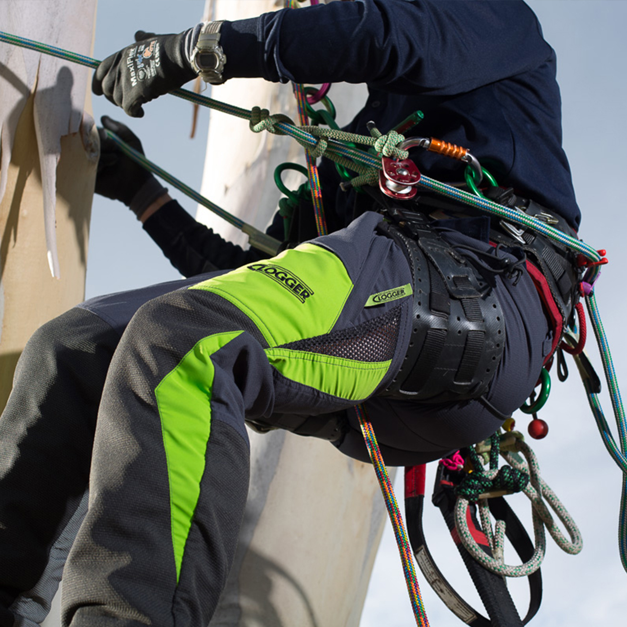 Adapting Chainsaw Pants for Different Climatic Zones in New Zealand ...