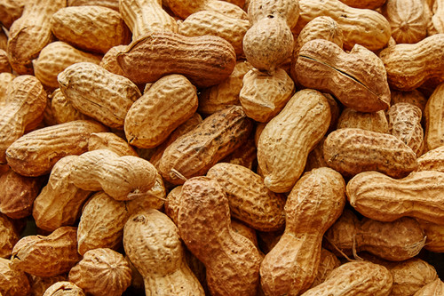 Peanuts - Inshell, Roasted, Salted - Continente Country Store