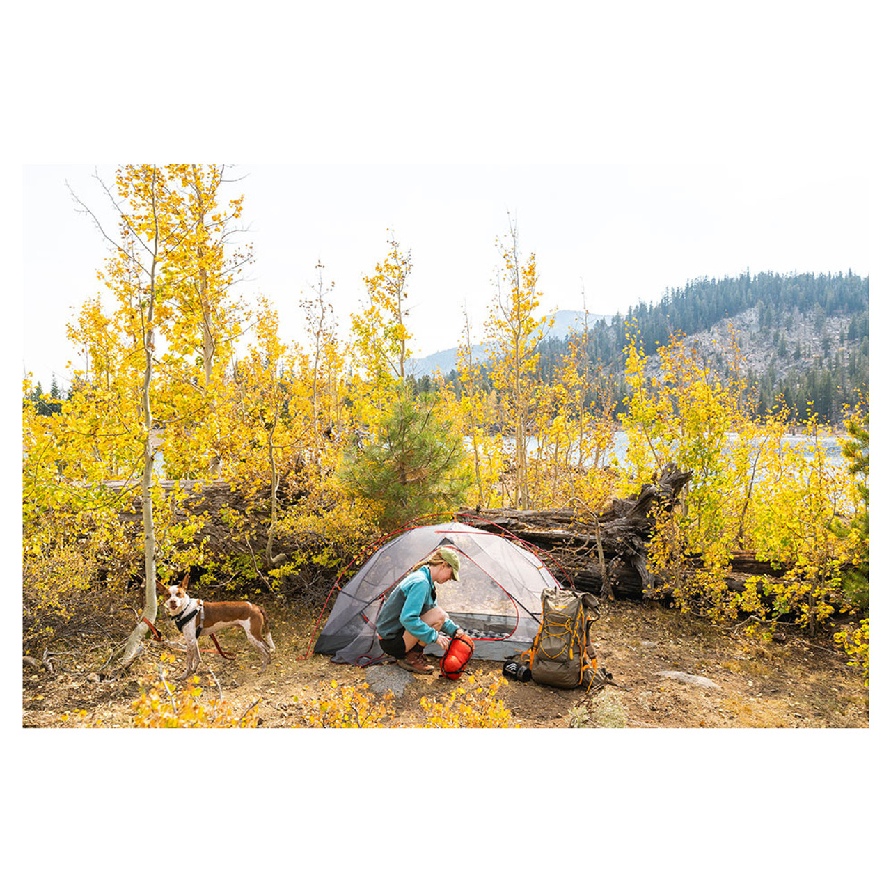 Helix 1 Tent from ALPS Mountaineering - Thunderhead Outfitters