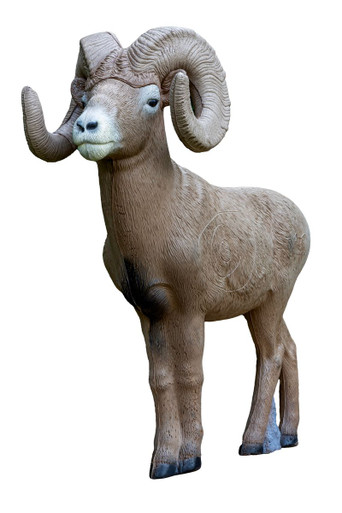 Bighorn Sheep Target UNIV - North American Hunting Supplies