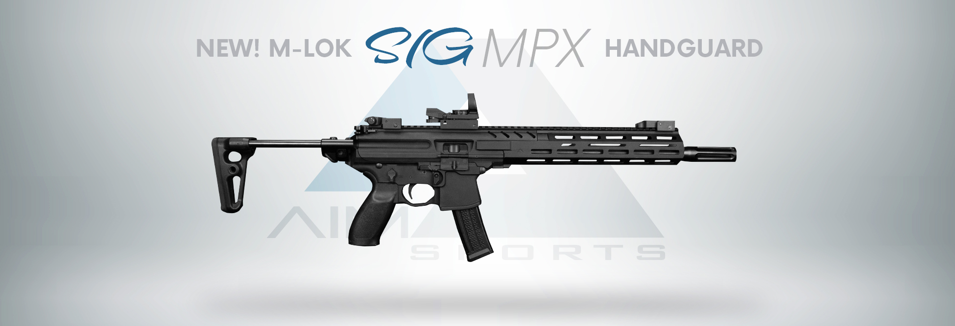 Aim Sports Inc