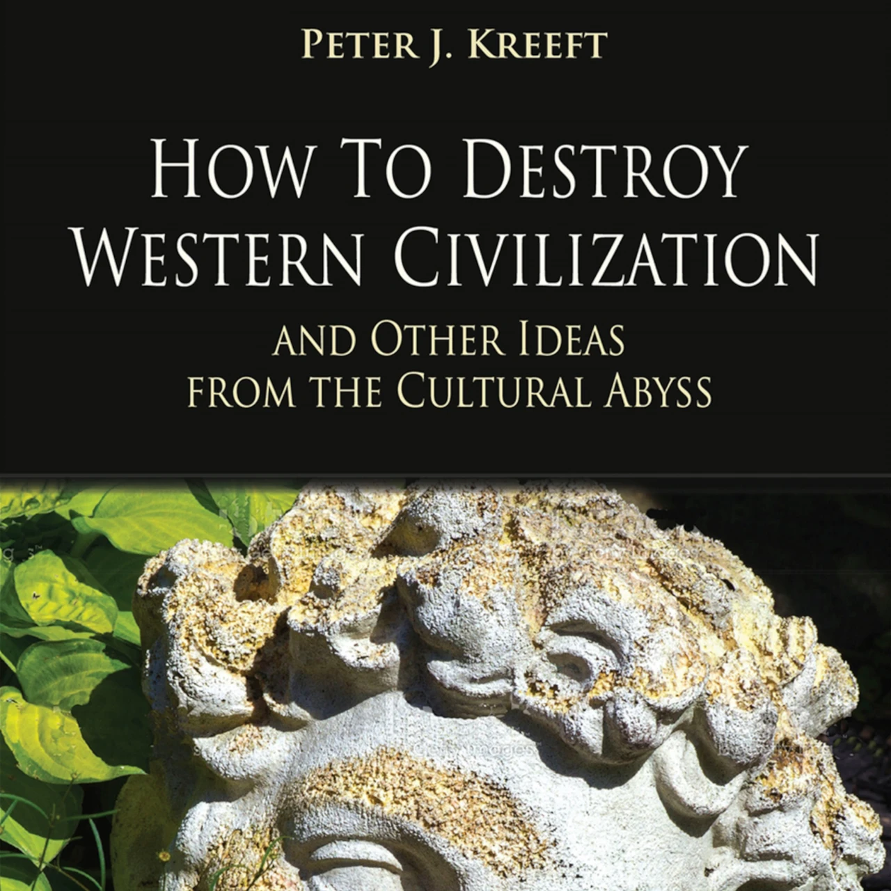 How to Destroy Western Civilization and Other Ideas from the Cultural ...