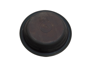 DIAPHRAGM, TYPE 30 LONG STROKE === 35668