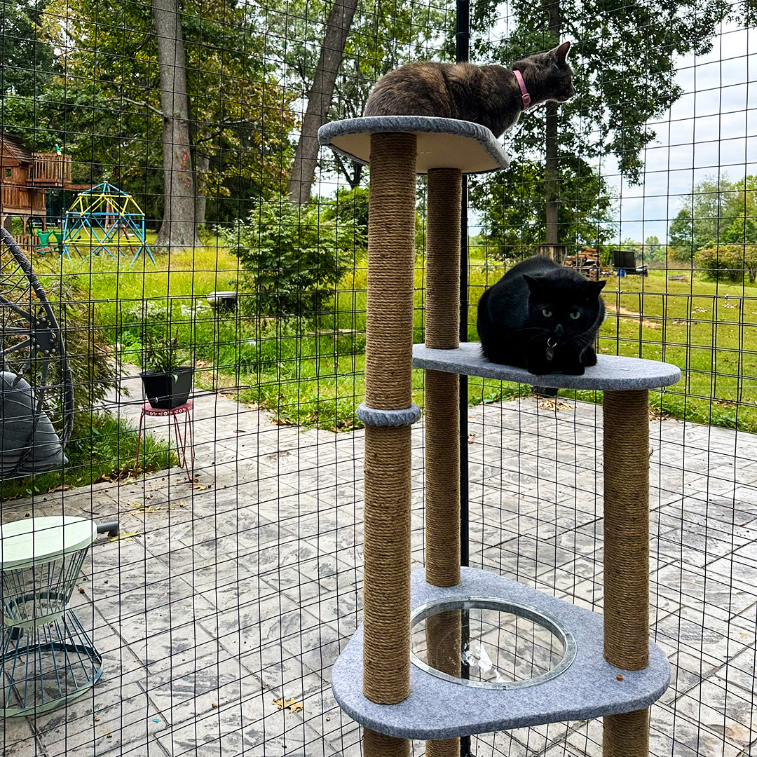 7.5' x 7.5' Catio