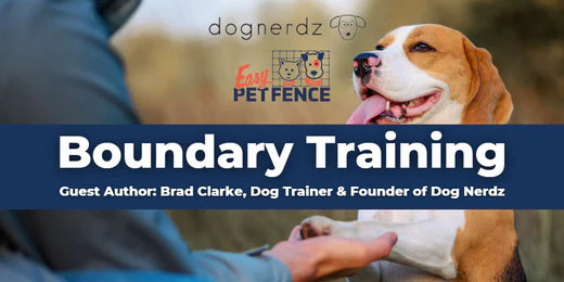 Boundary Training: Outdoor and Indoor Tips - Easy Pet Fence