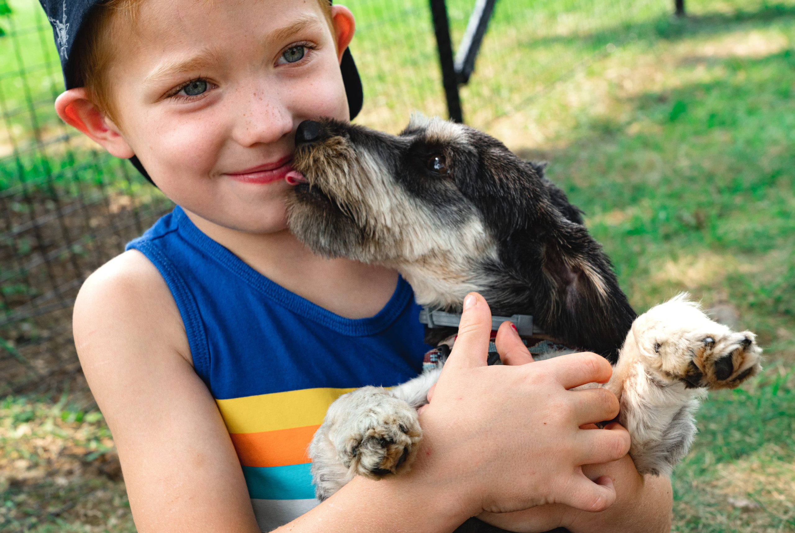 DIY Dog Fence and Cat Fence | Dog & Cat Fences | Pet Fencing