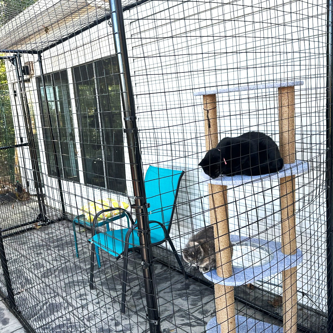 4' x 12' Catio