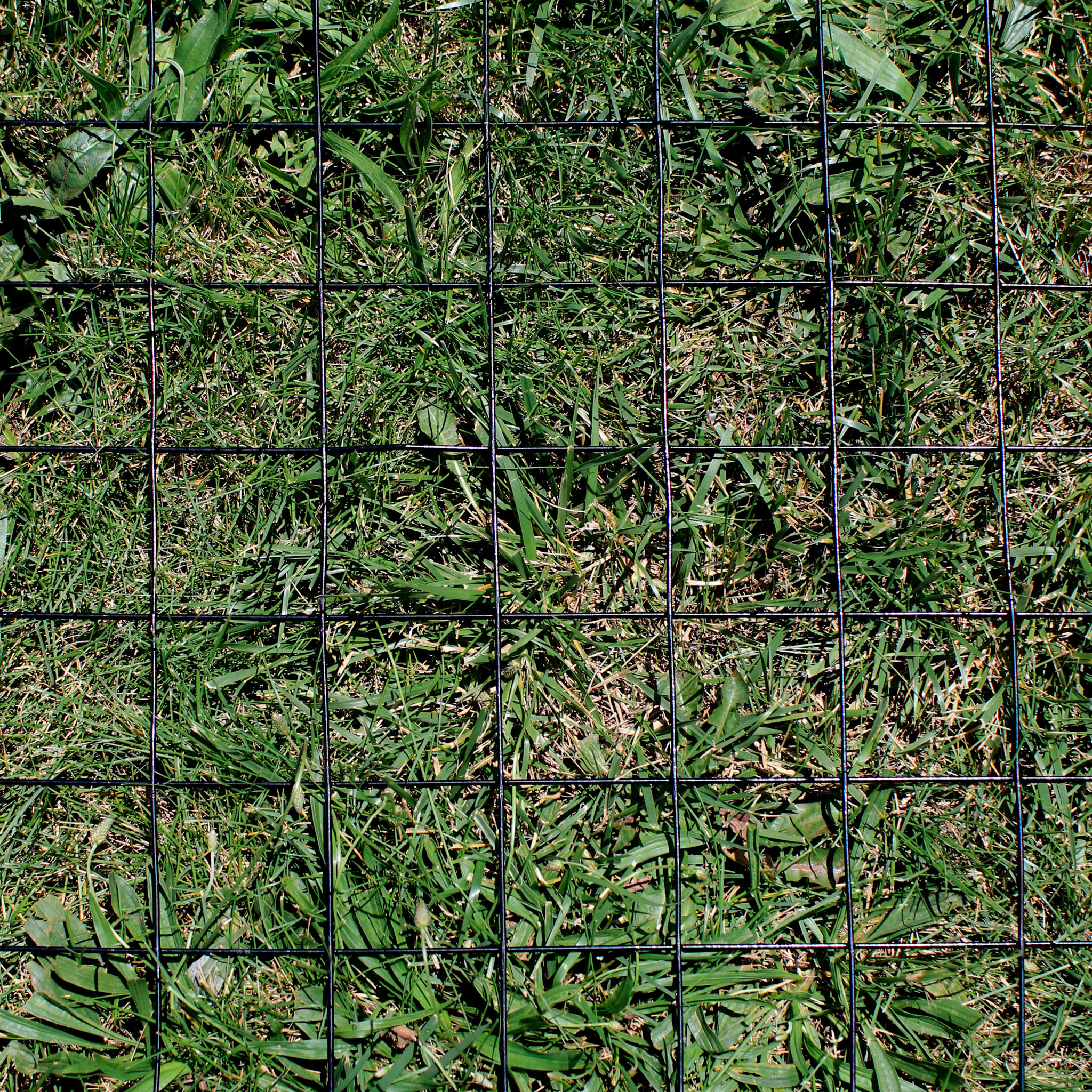 6' x 100' Durable Steel Core Wire Dog Fence | Easy Pet Fence