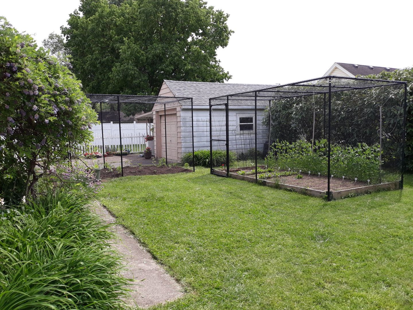 7.5' Steel Hex Chicken Fence Enclosure w/ Top and Gate