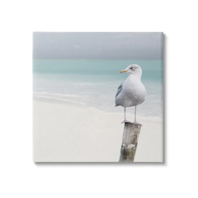 Perched Seagull Canvas Art Print - Animal Decor