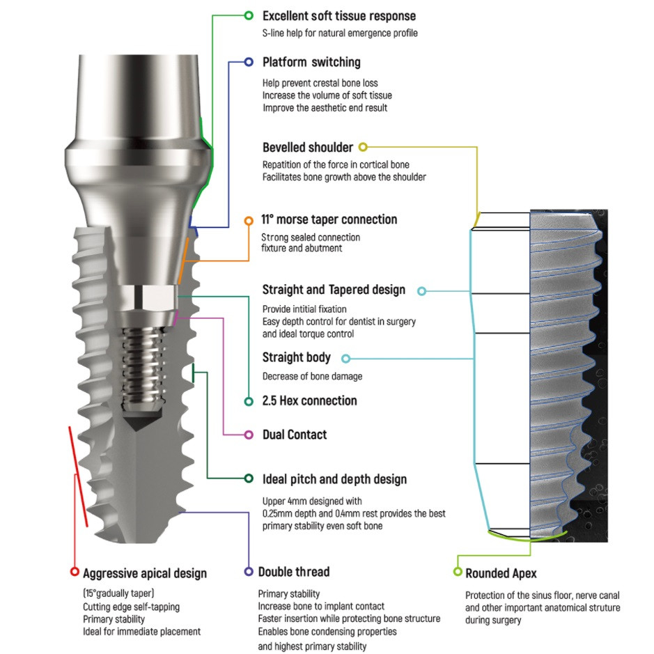 3.8mm x 13mm S Implant Fixture with Cover Screw - Predictable Surgical ...