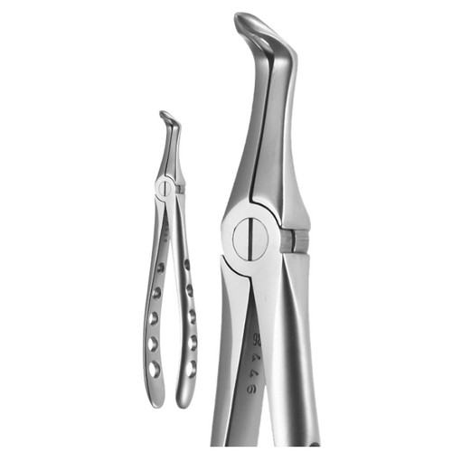 A. Titan X-Trac Mandibular Root Tip Forceps (4515)