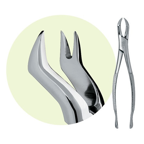 Premier #88R Extraction Forceps (9065025)