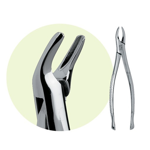 Premier #101 Extraction Forceps (9065028)