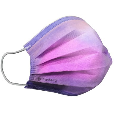 Ecobee Stellar Purple ASTM Level 3 Cosmo Earloop Face Mask (C2700SP)