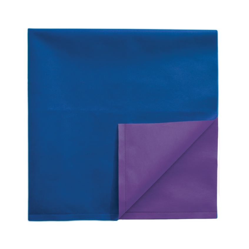 PRIMED CSR Sterilization Wrap P100 F2, Purple/Blue