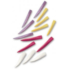 Matrix Wedges Waterpik WaterPik Dental Wedges (500ct) - Birch Wood ...