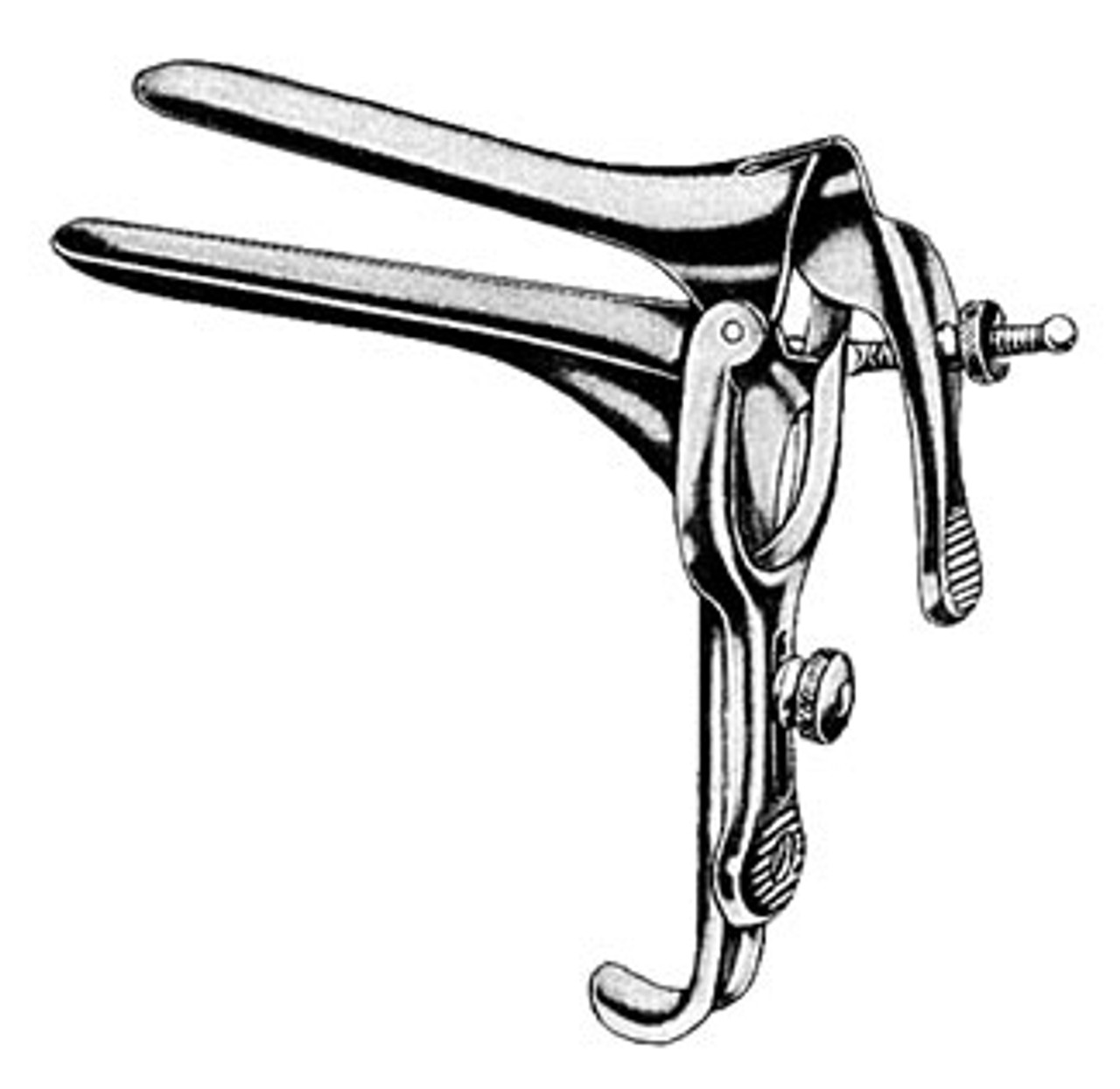 Pederson Vaginal Speculum, Large, 120 mm x 25 mm, Stainless Steel - Floor Quality - Valuemed ...