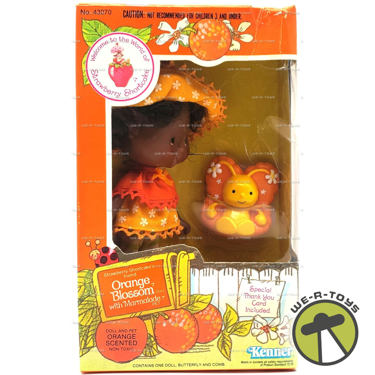 orange strawberry shortcake friend