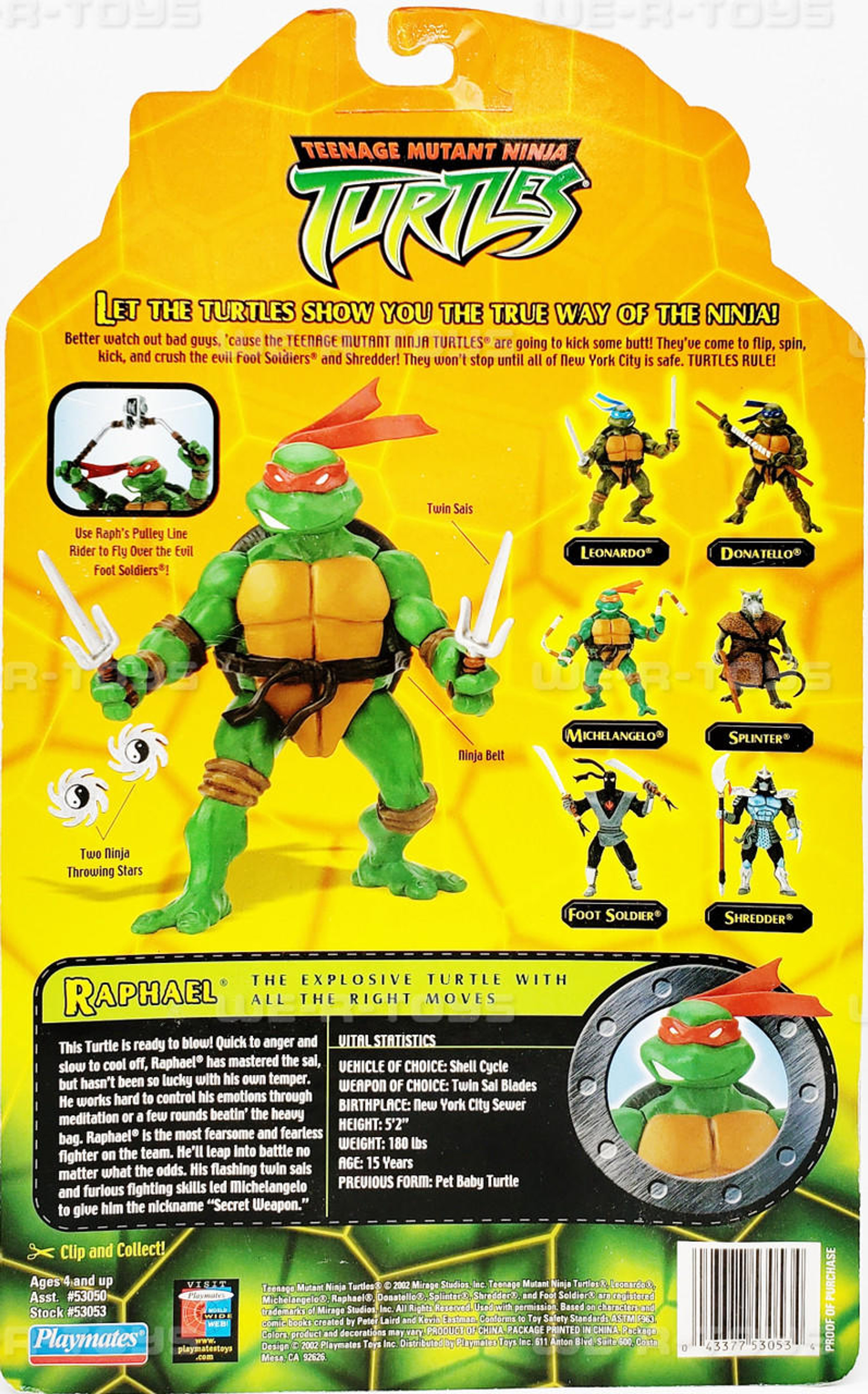 Teenage Mutant Ninja Turtles Raphael Action Figure Playmates 2002