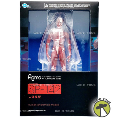 Human Anatomical Model Figma Action Figure SP142 - We-R-Toys