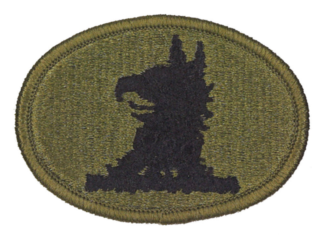 Patch Delaware National Guard Ocp With Hook Fastener