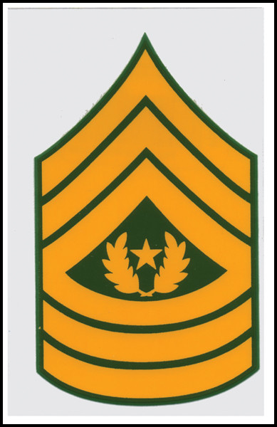 CSM E-9 Decal